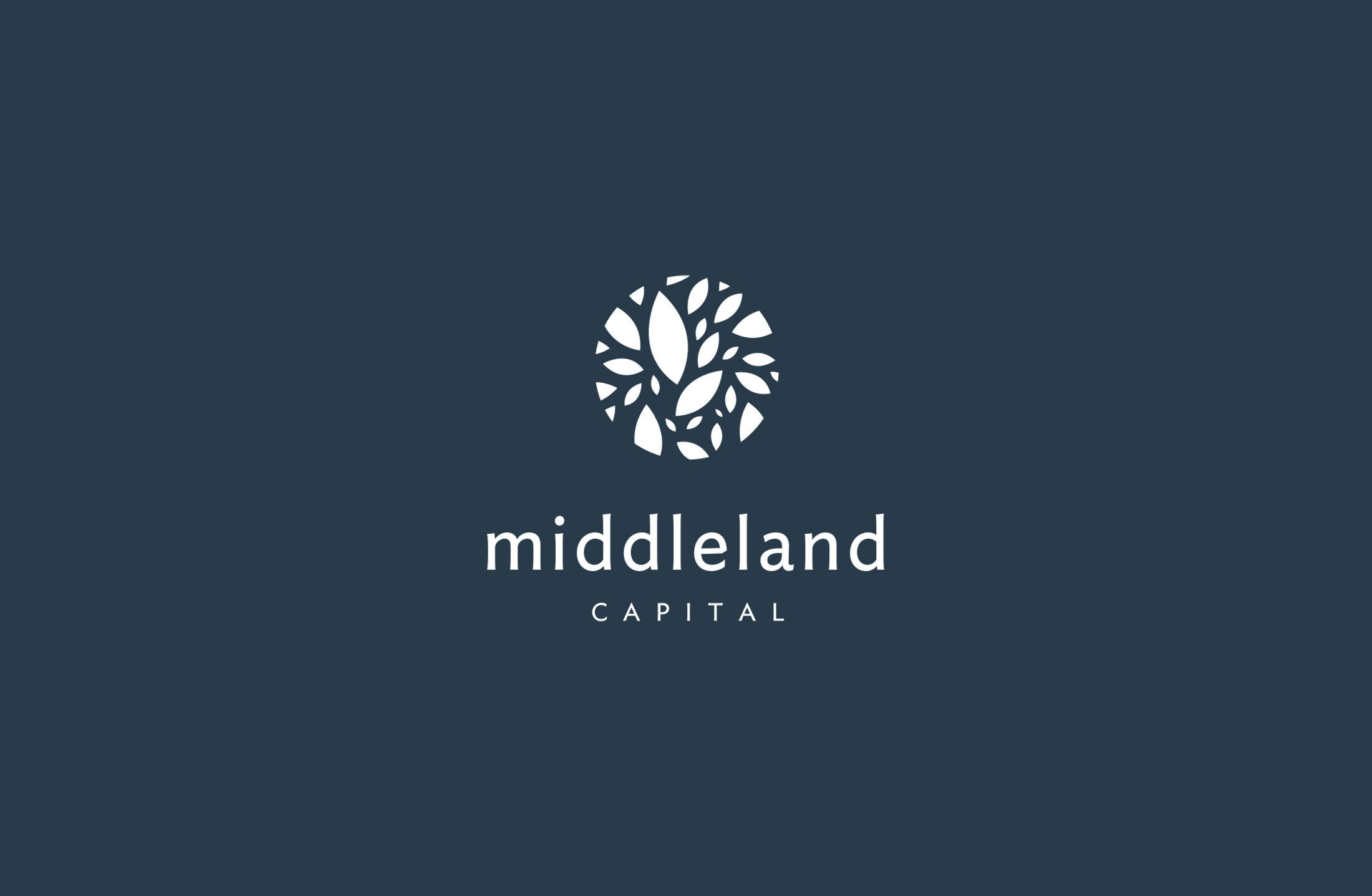 Middleland Capital - We Are Blow